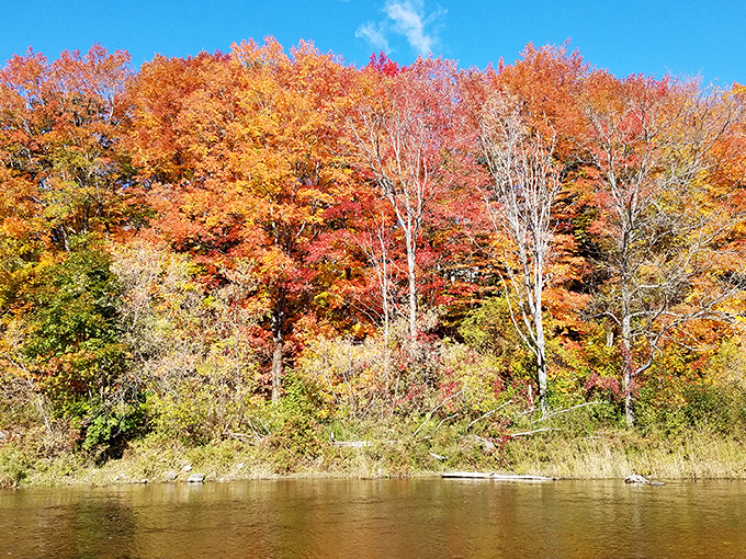 Autumn foliage along the riverbank creates a masterpiece no filter could improve. Mother Nature showing off her best work like it's nothing.