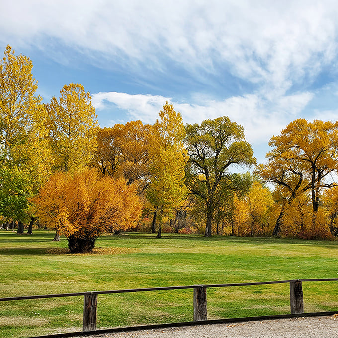 Fall in Buffalo paints with a palette that makes even amateur photographers look like they know what they're doing.