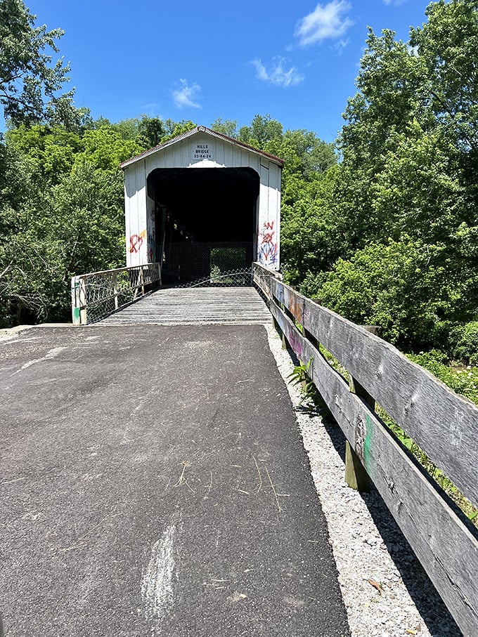 Even with some graffiti, the bridge maintains its dignity—like an elegant grandmother who can still rock a rebellious streak when nobody's looking.