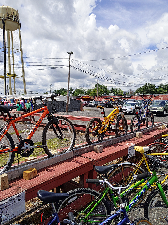 Bicycle bonanza under blue skies. From vintage cruisers to mountain bikes, these wheels promise adventure at prices that won't deflate your wallet.