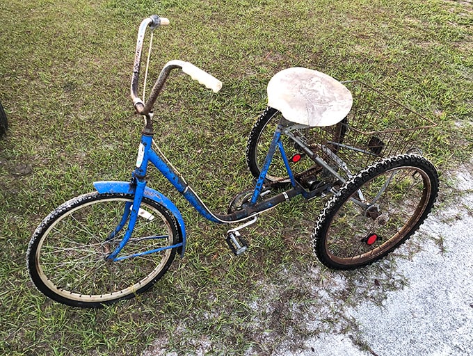 That blue bicycle with the banana seat? Pure childhood nostalgia on wheels – no helmet required back then!