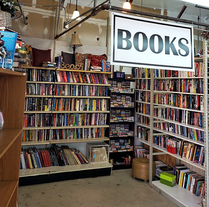 The book section &ndash; where literary treasures hide between forgotten bestsellers, waiting for the right reader to discover them.