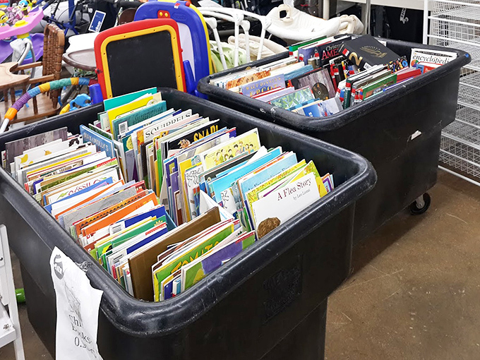 Literary treasures by the binful! Children's books waiting to inspire new generations of readers for pennies on the dollar of their bookstore counterparts.