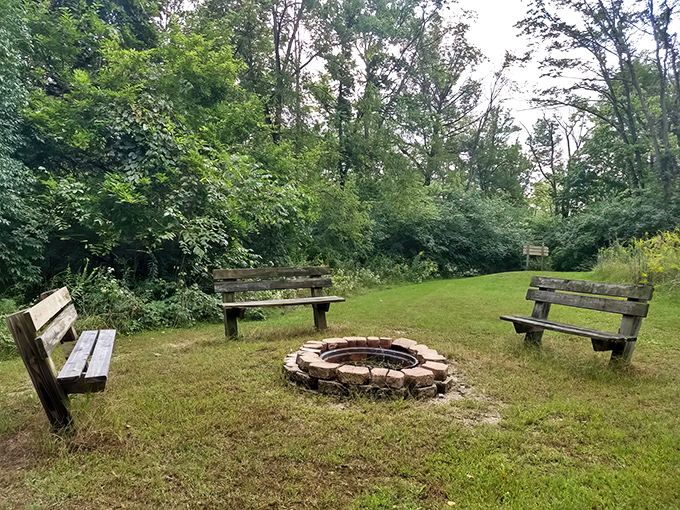 Three benches, one fire ring, zero Wi-Fi—the original social network where stories are shared face-to-face under star-studded skies.