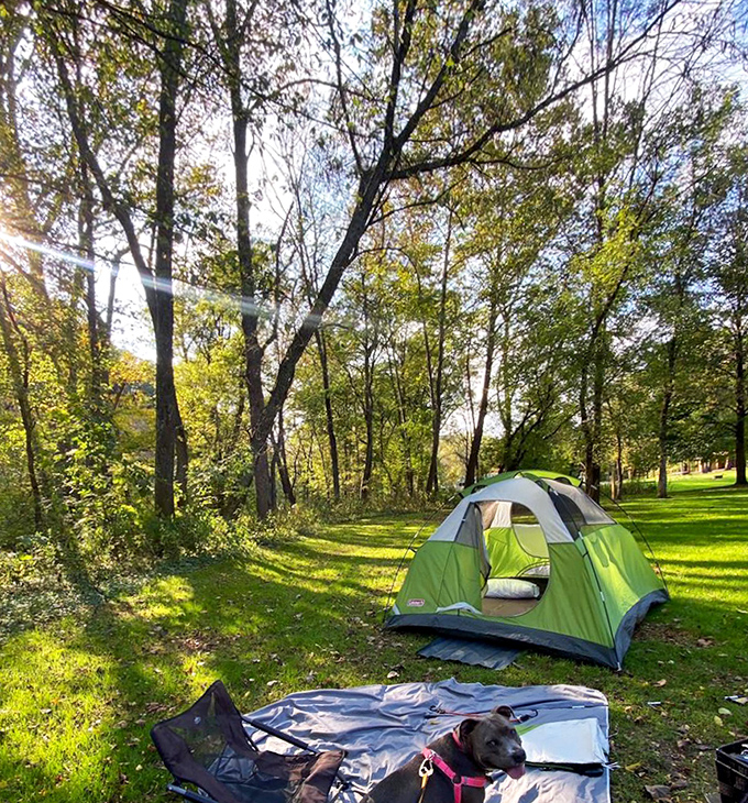 Home is where you pitch it: a slice of temporary paradise where your dog approves of your life choices.