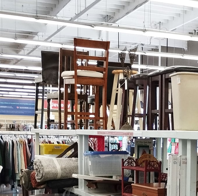 Chair heaven, where barstools and dining chairs create a forest of seating possibilities for every home aesthetic.