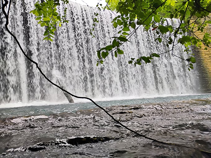Up close, the waterfall becomes a hypnotic wall of liquid crystal, each droplet catching light in its brief journey downward.