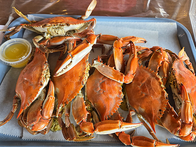 These blue crabs aren't just seafood; they're a Delaware ritual that requires time, newspaper, and absolutely no fancy clothes.