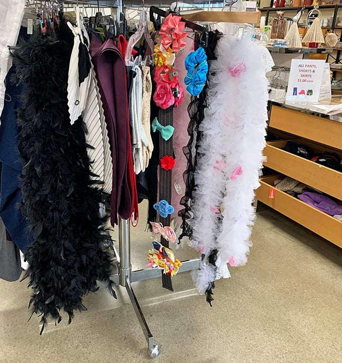 Feather boas and fancy accessories await their next costume party or theatrical debut. Halloween? Prom? Tuesday? The occasion is entirely up to you.