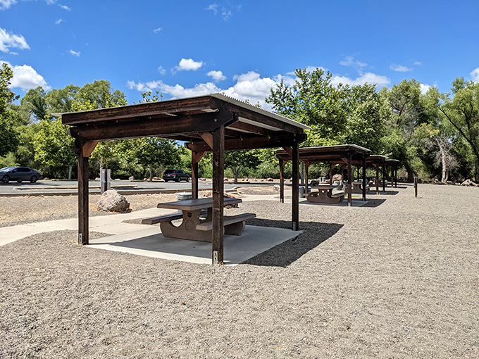 These covered picnic tables offer shade department stores would charge extra for, with views no restaurant can match.