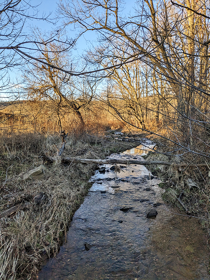 Crooked Run meanders through like that friend who never rushes a good story over coffee.