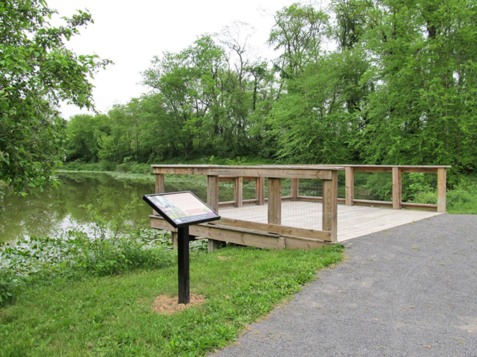 This riverside observation deck offers a front-row seat to nature's daily performance &ndash; no tickets required, just bring your appreciation for tranquil water views.