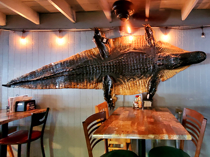 That mounted alligator isn't just decor &ndash; it's a conversation starter that's witnessed thousands of "you should have seen the one that got away" tales.