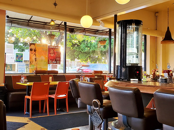 Sunlight streams through windows, illuminating a space where mid-century design meets contemporary comfort without trying too hard.