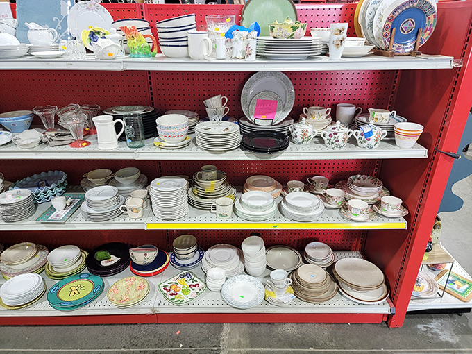 Dishware in every pattern and color creates mix-and-match possibilities where eclectic becomes intentional and your budget stays completely intact throughout.