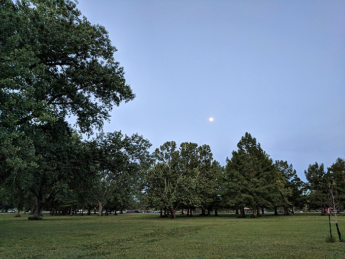 As dusk settles over Tuttle Creek, the moon makes an early appearance &ndash; nature's nightlight for evening explorers.