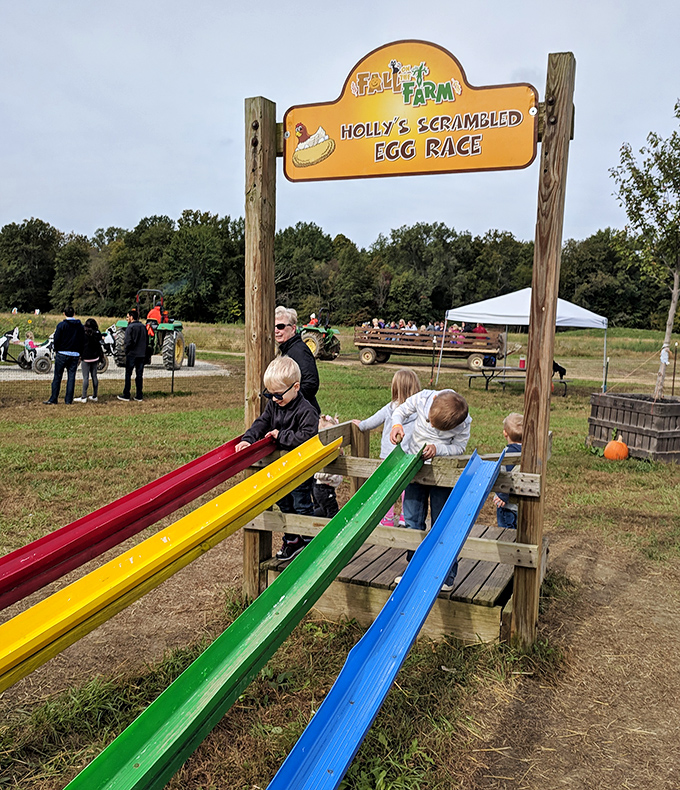 Holly's Scrambled Egg Race brings competitive spirit to the farm with colorful tracks that kids can't resist.