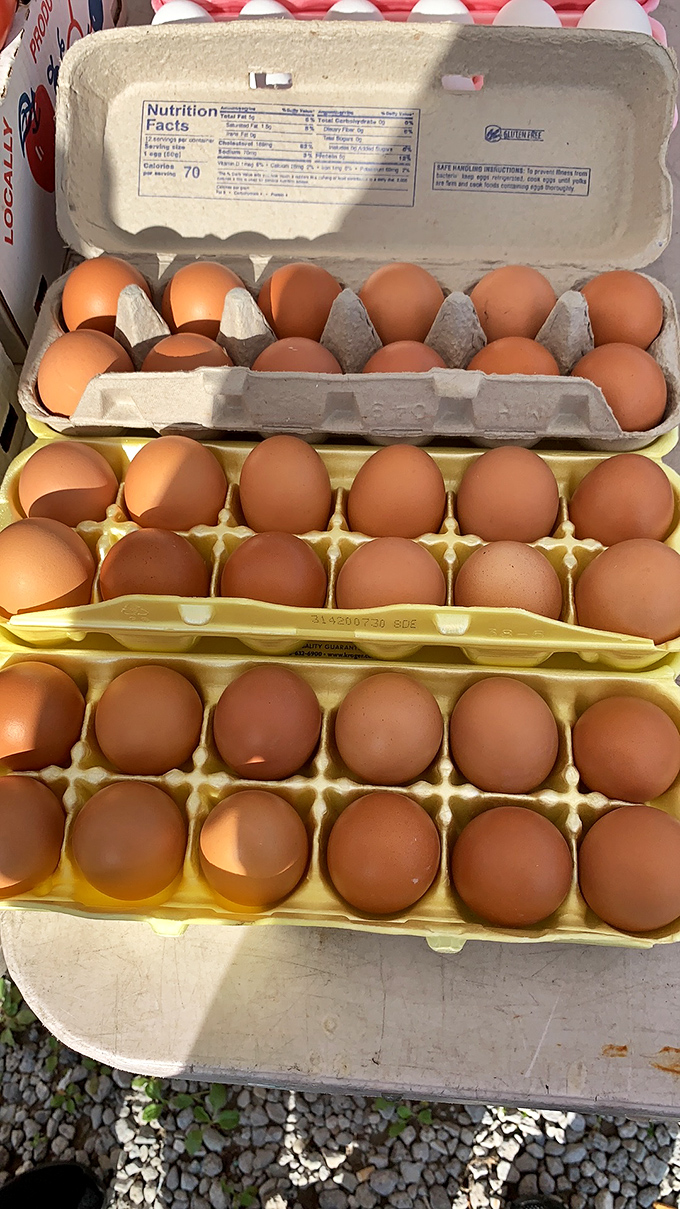 Farm-fresh protein straight from local hens. These golden-yolked beauties make supermarket eggs seem like pale imitations.