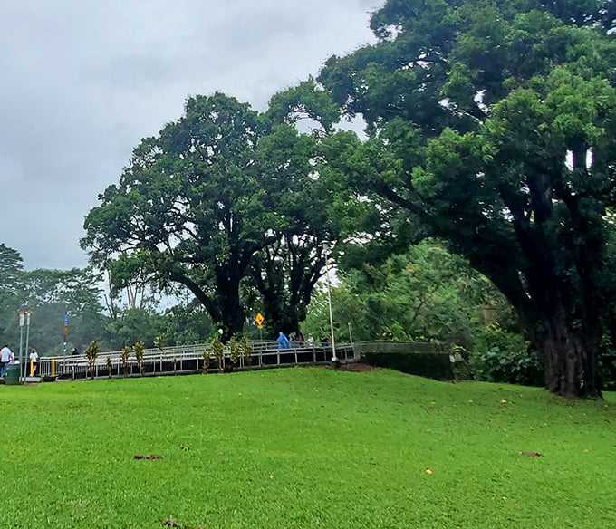 Majestic trees frame the entrance pathway. These silent sentinels have witnessed countless visitors' first gasps of wonder at what lies beyond.