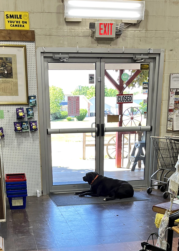 Even the exit is charming, complete with a canine greeter who seems to be saying, "Leaving so soon? You missed a spot."
