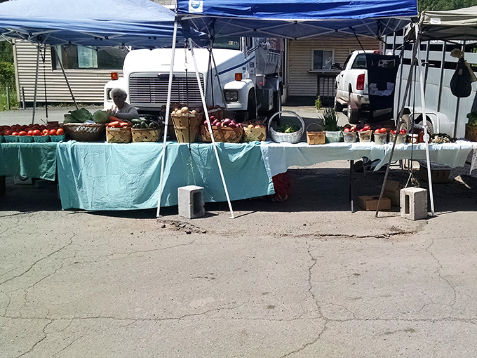 The farmers market showcases nature's bounty and human dedication, where each tomato and apple represents a story of northeastern Pennsylvania soil and seasons.