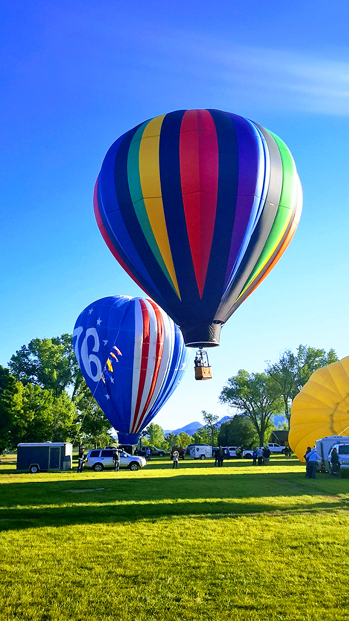 Hot air balloons transform the sky into a floating art gallery. Somewhere below, someone's neck is getting very, very tired.