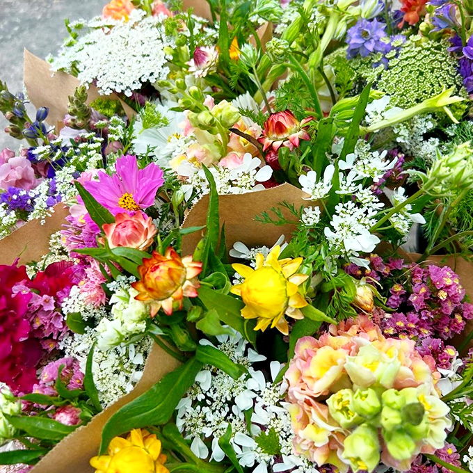 Mother Nature showing off again with this bouquet explosion. These locally grown blooms make grocery store flowers look like they need a serious pep talk.
