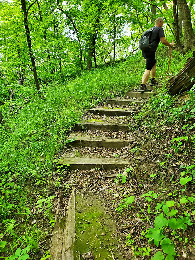 Each step leads deeper into Waubonsie's emerald embrace. The forest staircase invites exploration while thoughtfully preventing erosion.