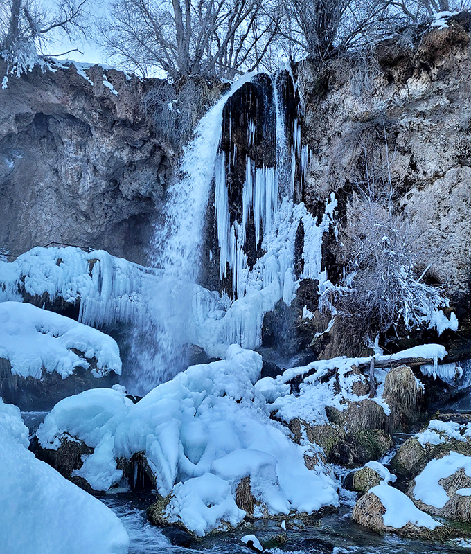 Winter's artistic touch transforms Rifle Falls into a frozen sculpture garden where water pauses mid-air, as if time itself has been suspended.