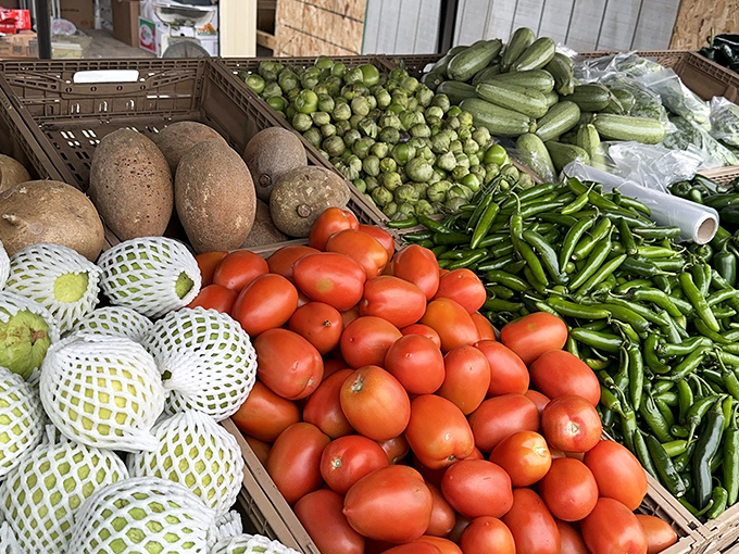 Nature's candy counter! These farm-fresh vegetables bring vibrant color and flavor that make grocery store produce look like sad, distant relatives.