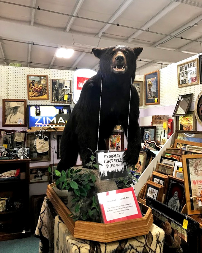 The taxidermied bear stands guard over vintage Americana, silently judging your fashion choices while you contemplate his $3,800 price tag.