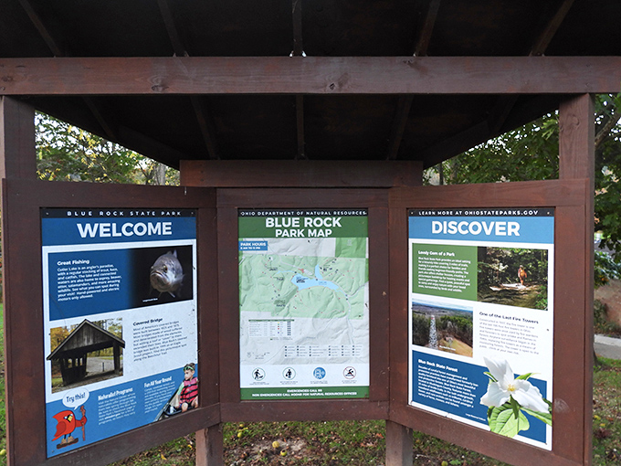 Information central &ndash; where trail maps become treasure maps and every posted notice feels like an invitation to explore.