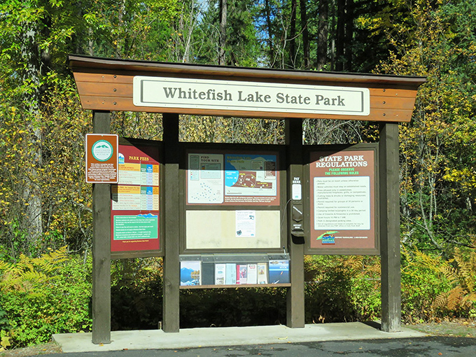 The information board &ndash; where adventure begins and excuses end. Maps that say, "Yes, you can find your way without Google."