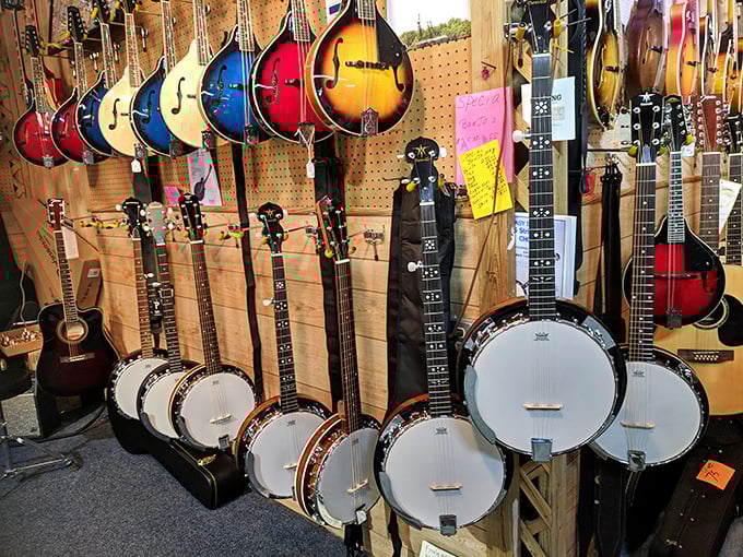 The stringed instrument section is a bluegrass band waiting to happen. From rainbow-hued mandolins to banjos that have seen more picking than a teenager's face.