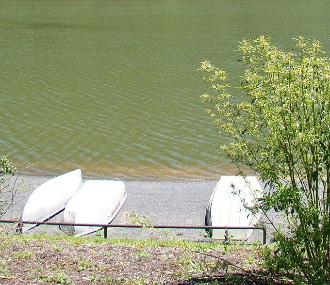 Boats waiting patiently for their next adventure, like loyal pets hoping you'll pick them for the walk around the lake.