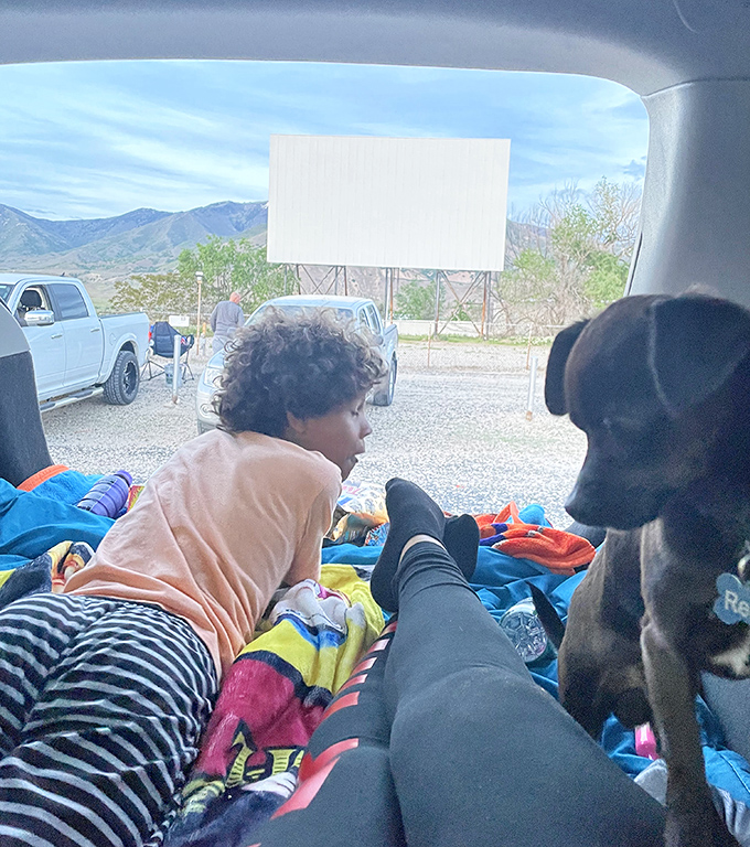 The perfect movie companion: cozy blankets, a panoramic view, and a four-legged friend who doesn't talk during the good parts.