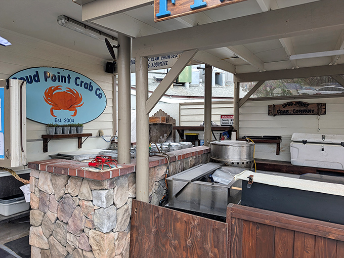 The engine room of flavor. This no-frills kitchen space produces seafood magic that fancy restaurants with million-dollar views can only dream about.