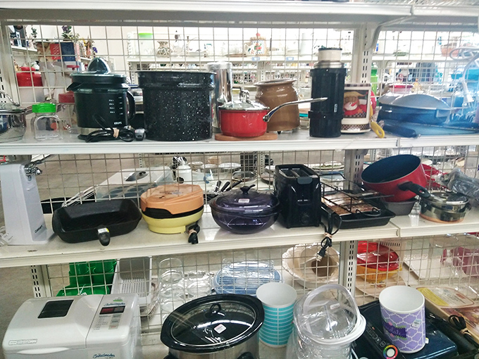 Kitchen equipment paradise where you'll find everything from slow cookers to gadgets whose purpose remains delightfully mysterious.