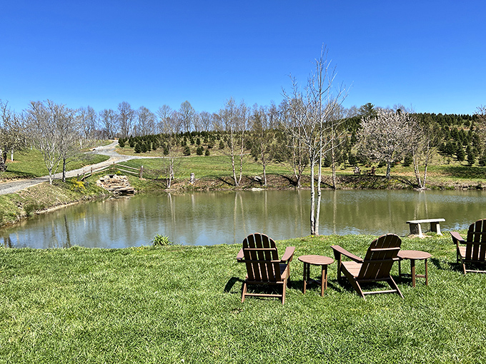 Fall foliage creates a perfect mirror image on the still lake. Nature showing off its Photoshop skills without a single filter.