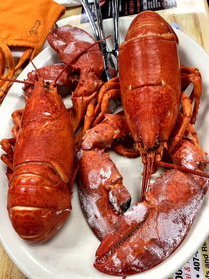 When Florida seafood meets diner simplicity &ndash; these lobsters aren't dressed up with fancy sauces because when the product is this good, why bother?