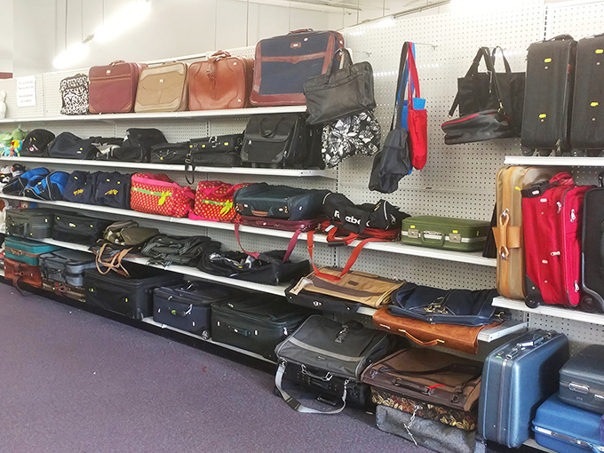 A luggage graveyard or your next travel companion? These suitcases are ready for their second act of adventure.