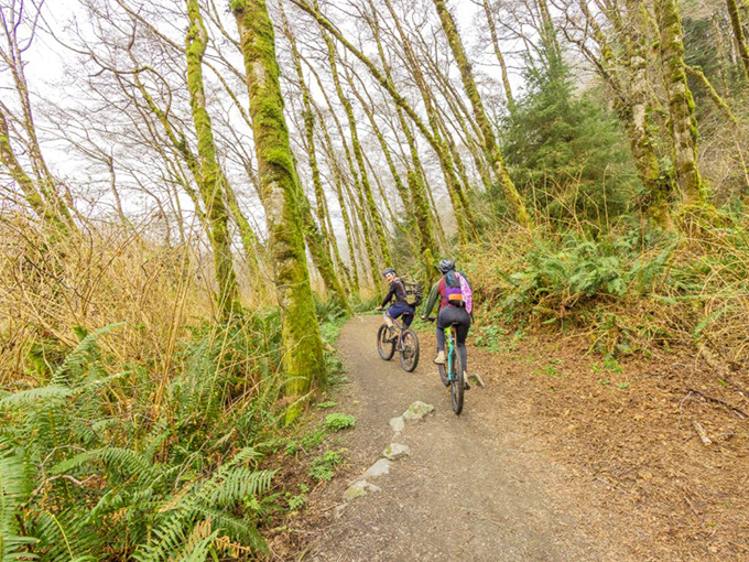 Mountain bikers find their flow on trails designed for two-wheeled adventure. Pedaling through paradise beats any spin class on Earth.