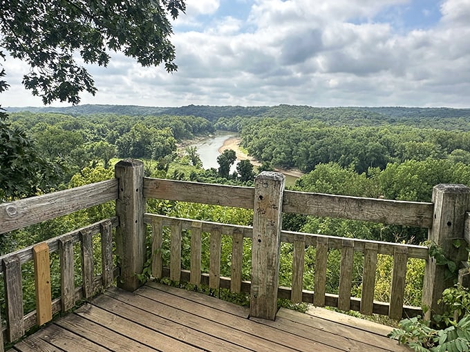 An observation deck that transforms ordinary visitors into explorers, surveying the kingdom of trees and water that stretches to the horizon.