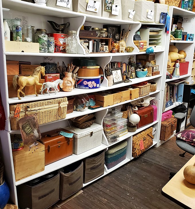 These shelves aren't just storage&mdash;they're a carefully curated museum of childhood memories, from model horses to vintage lunch boxes.