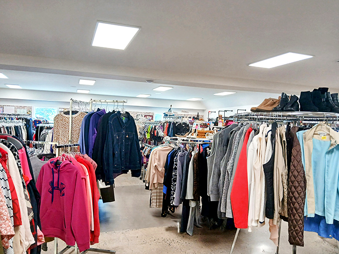 The clothing forest—where winter coats and summer jackets hang like colorful leaves, waiting for their seasonal moment to shine again.