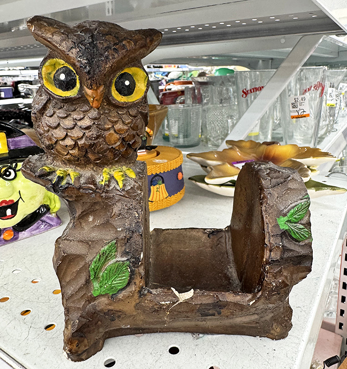 Whoooo needs new decor? This quirky owl planter with its wide-eyed stare might be the conversation piece your home office is missing.