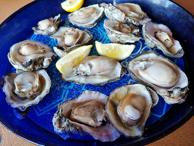 Fresh oysters on the half shell &ndash; nature's perfect appetizer, requiring nothing more than a squeeze of lemon and a moment of gratitude.