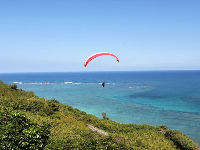 Freedom with a view! Paragliders catch thermal updrafts above Kahana's coastline, proving the best way to see Hawaii might be suspended in mid-air.