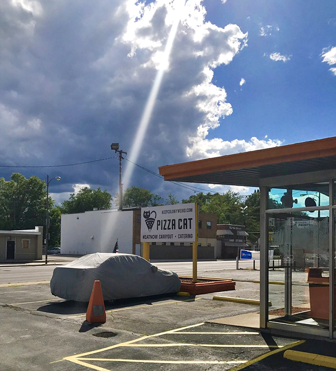 Even on dramatic weather days, Pizza Cat's sign stands strong&mdash;a beacon of hope for the hungry and pizza-deprived.