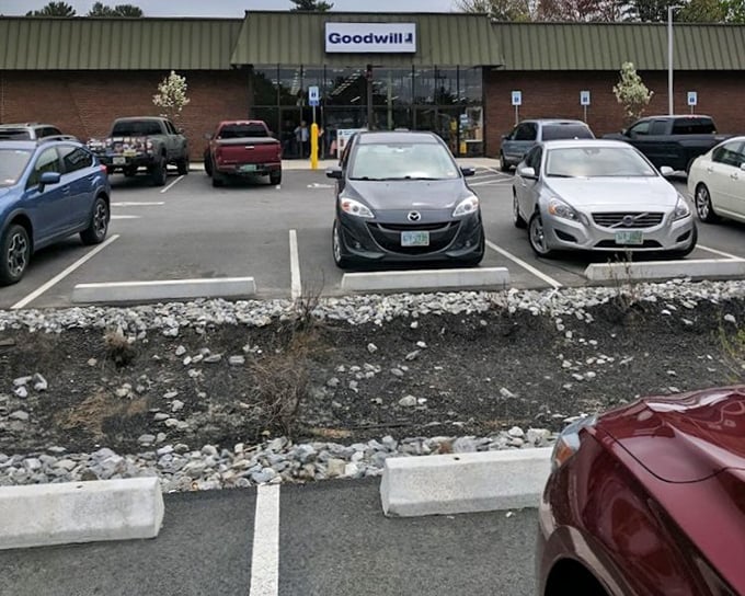 The parking lot fills daily with hopeful hunters, each car containing someone convinced they'll find that perfect something today.